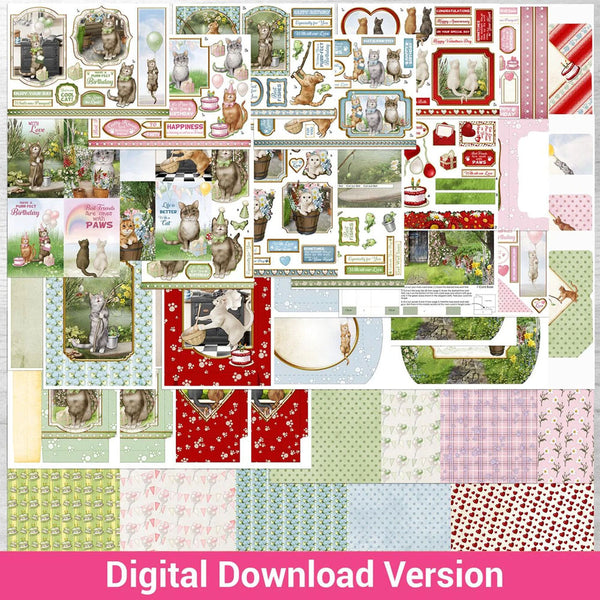 Debbi Moore Designs - A Cat For All Occasions Extravaganza Cardmaking ...